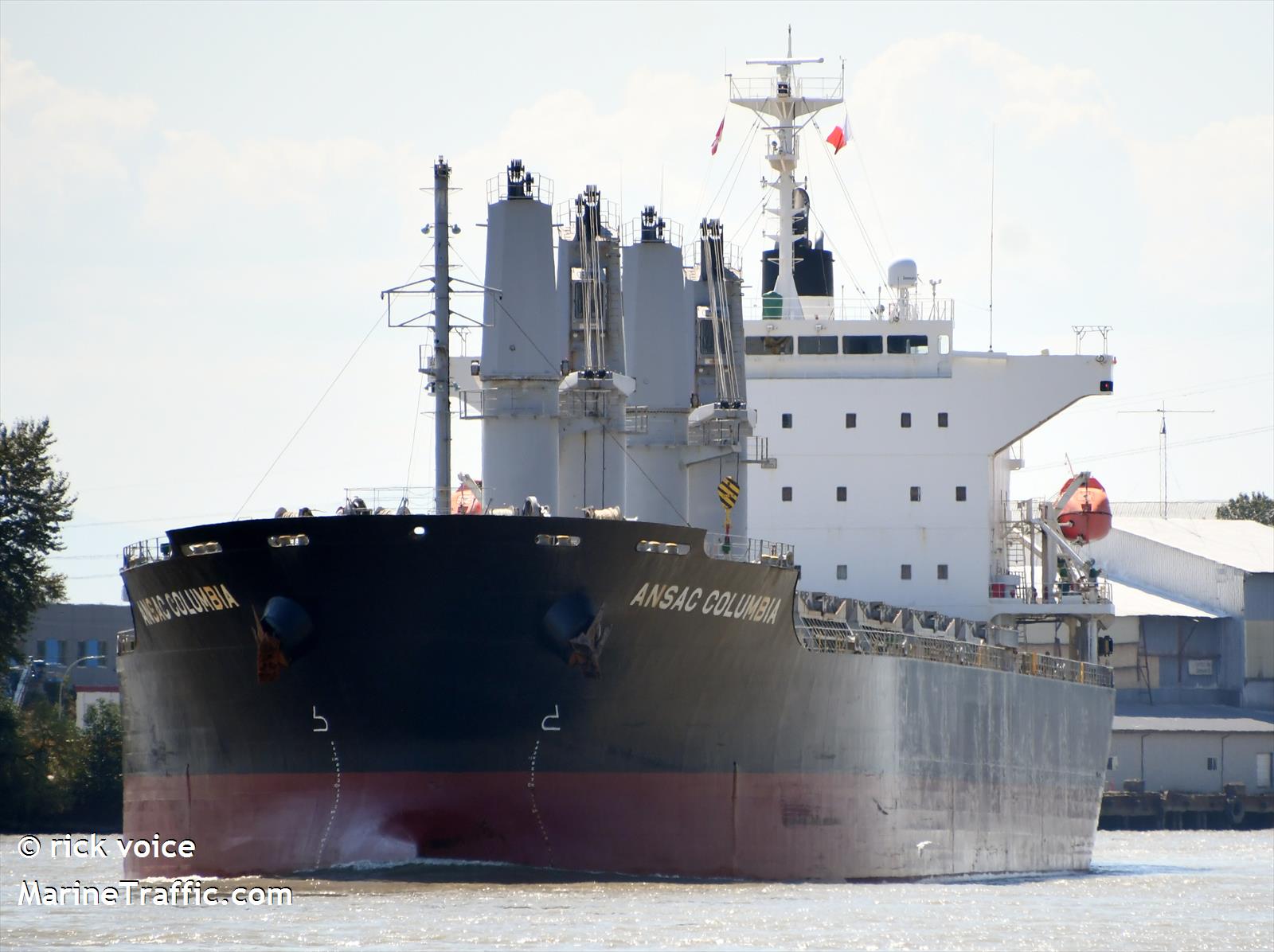 Stellar Isabela – Stellar Navigation